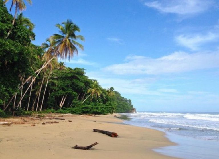 16 Best Swimming Beaches in Costa Rica.