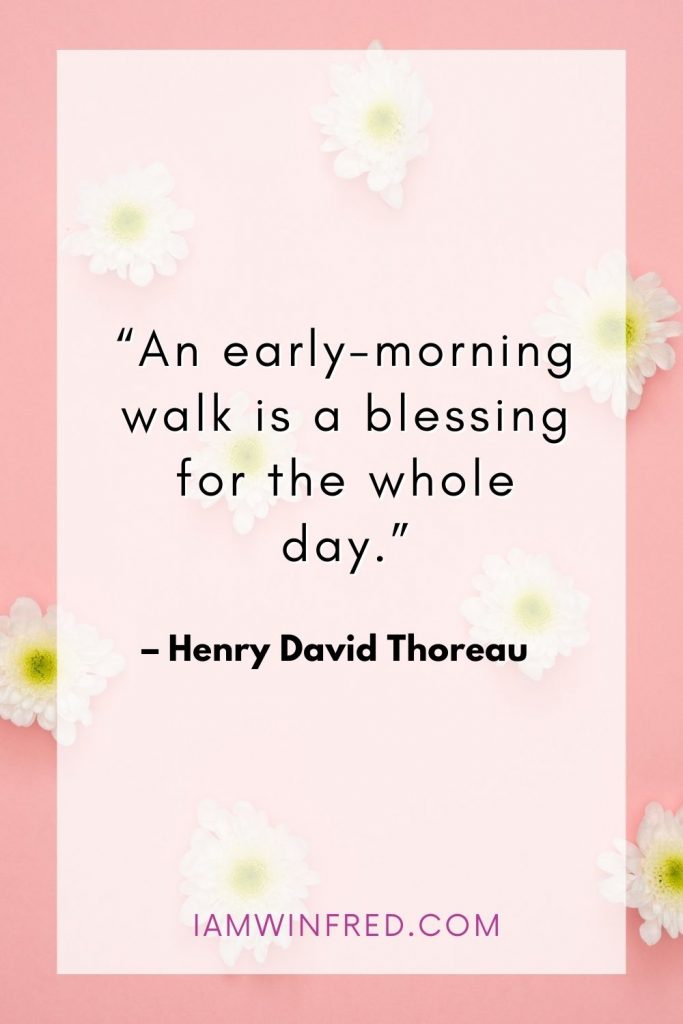 120 Best Good Morning Quotes to Start Your Day
