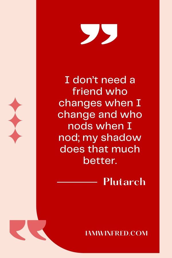 150 Friendship Quotes To Share With Your Best Friend - IamWinfred