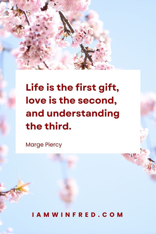 208 Best Love Quotes For Sweethearts| Romantic Love Notes - I am Winfred