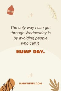 235 Wonderful Wednesday Quotes To Get You Through Hump Day