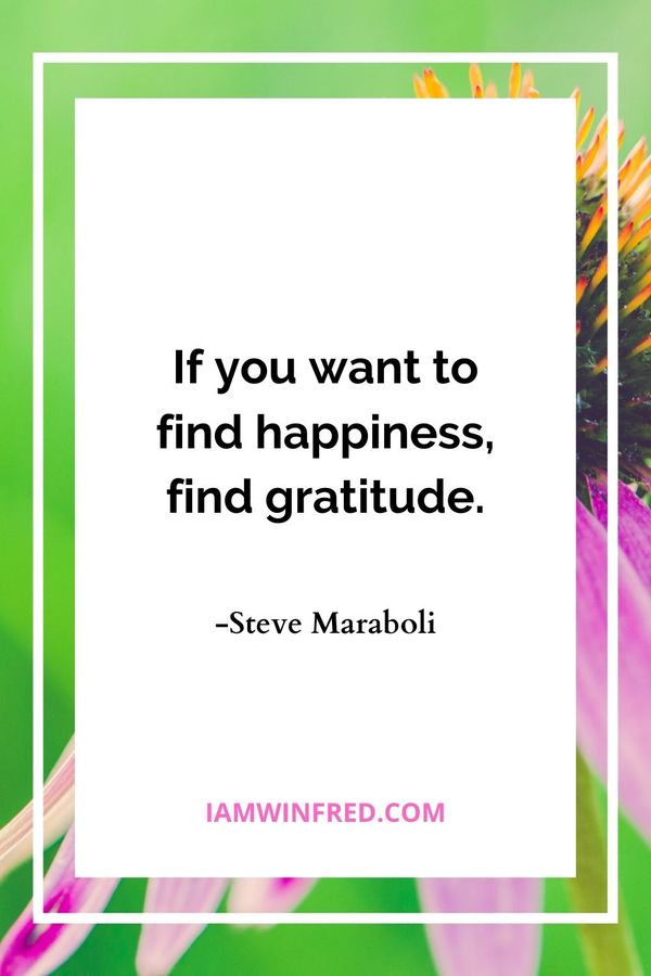 146 Powerful Gratitude Quotes: Inspirational Sayings to Help You Live ...